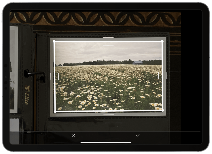 A Few Notes on my Experience with Photomyne - Numeric Citizen Blog